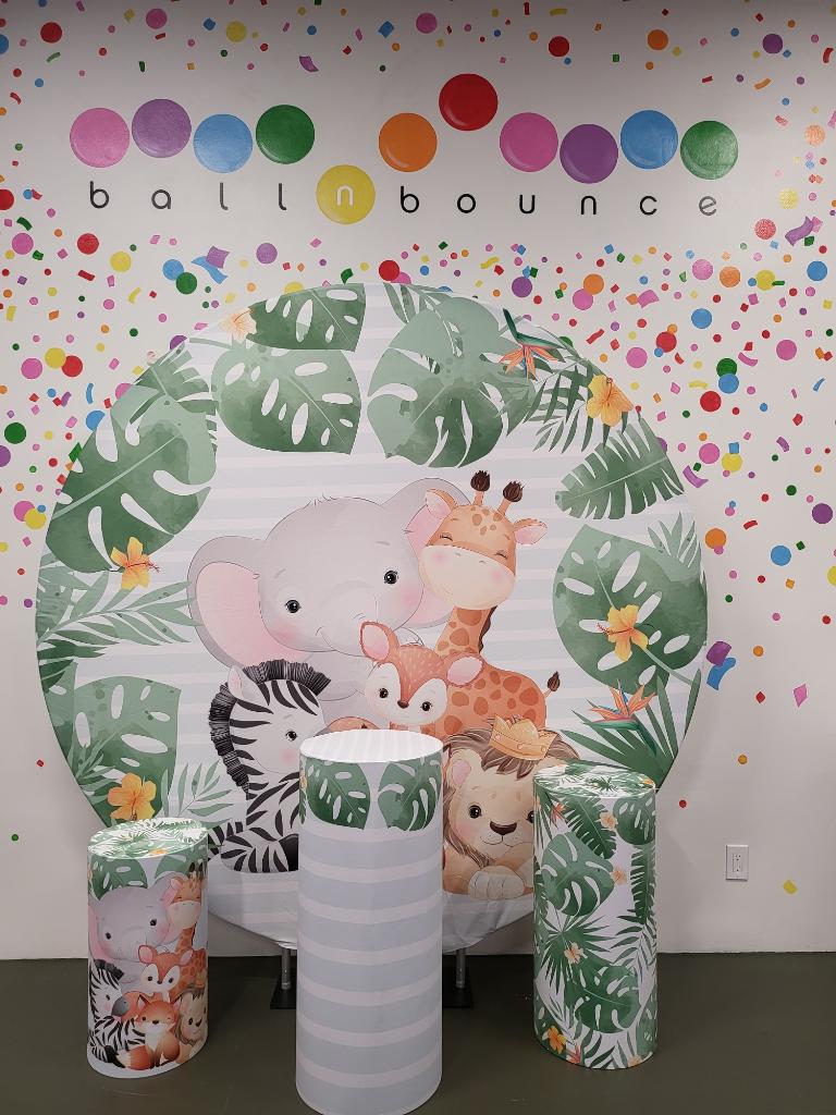 Kids Birthday party places in West Los Angeles | Ball n Bounce